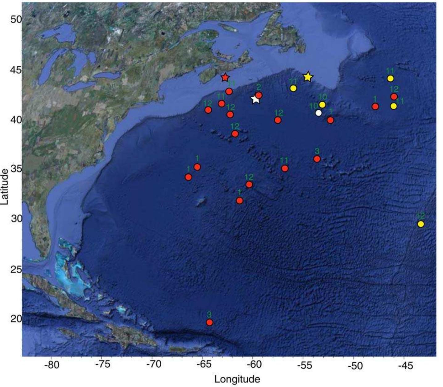 Blue shark pat tag and pop-up locations. map shows tagging