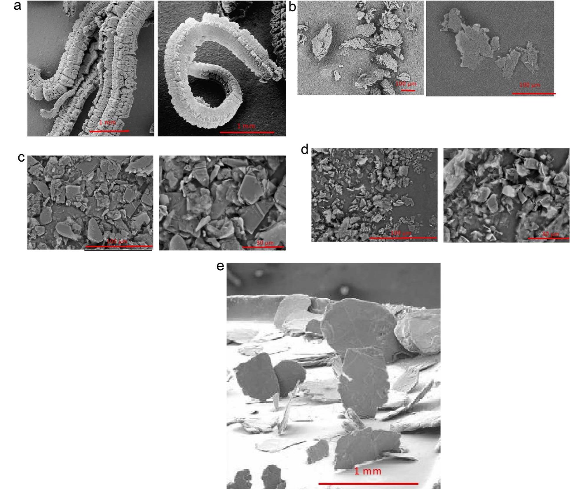 Scanning electron microscope images of the graphite