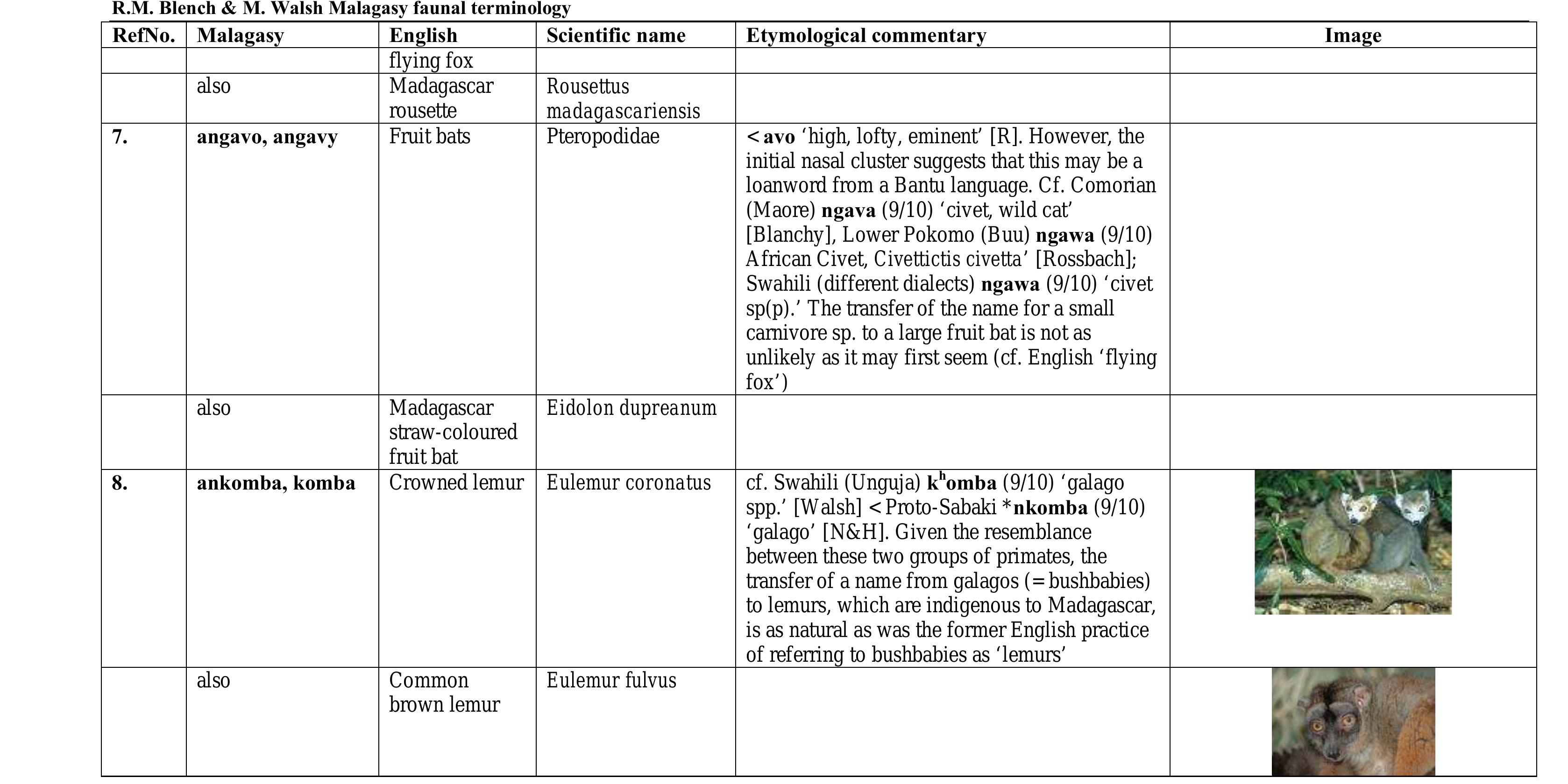 Table 5 - Faunal names in Malagasy: their etymologies and