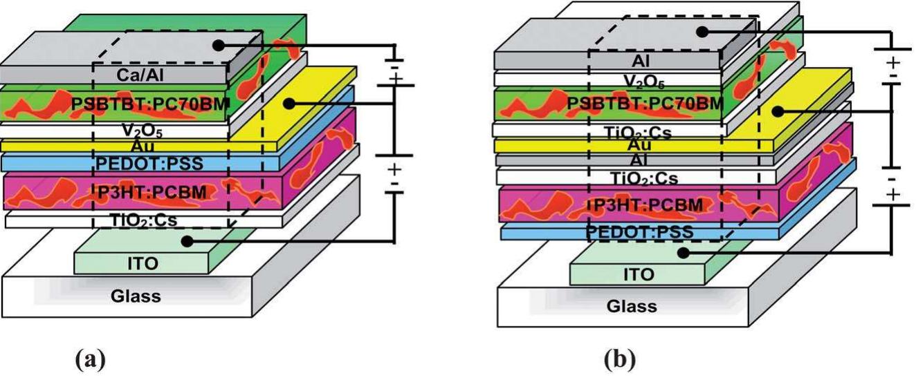 Schematic of the three-terminal devices in the common-anode
