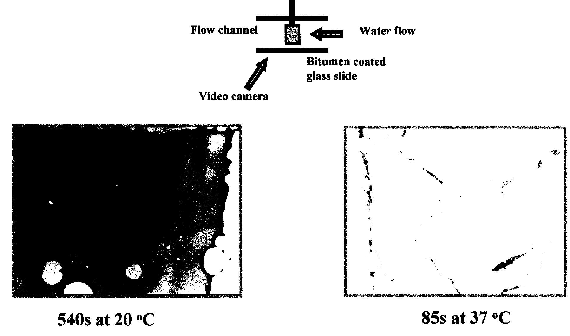 Figure 11 - Understanding Water-Based Bitumen Extraction