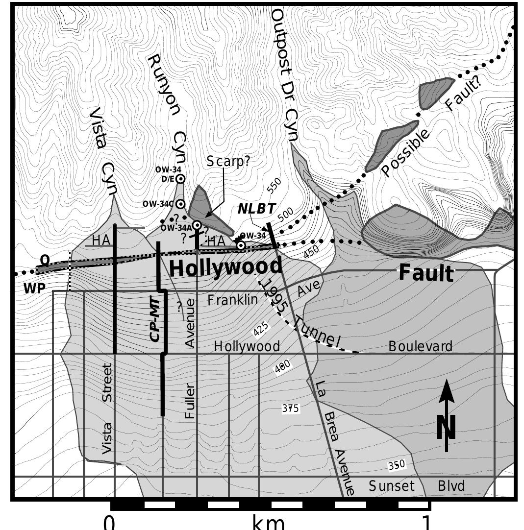 Geologic map of young features within our detailed study