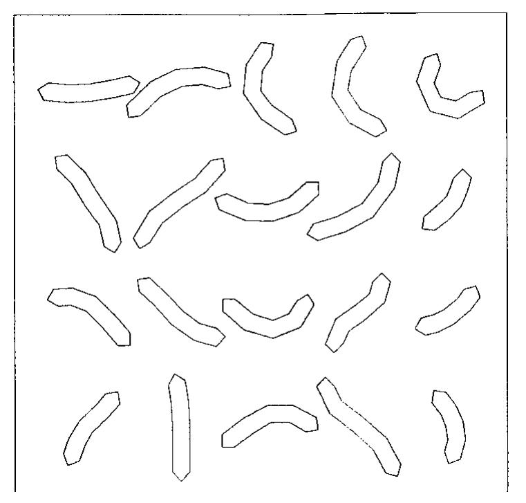 Examples from a set of “worm” shapes.