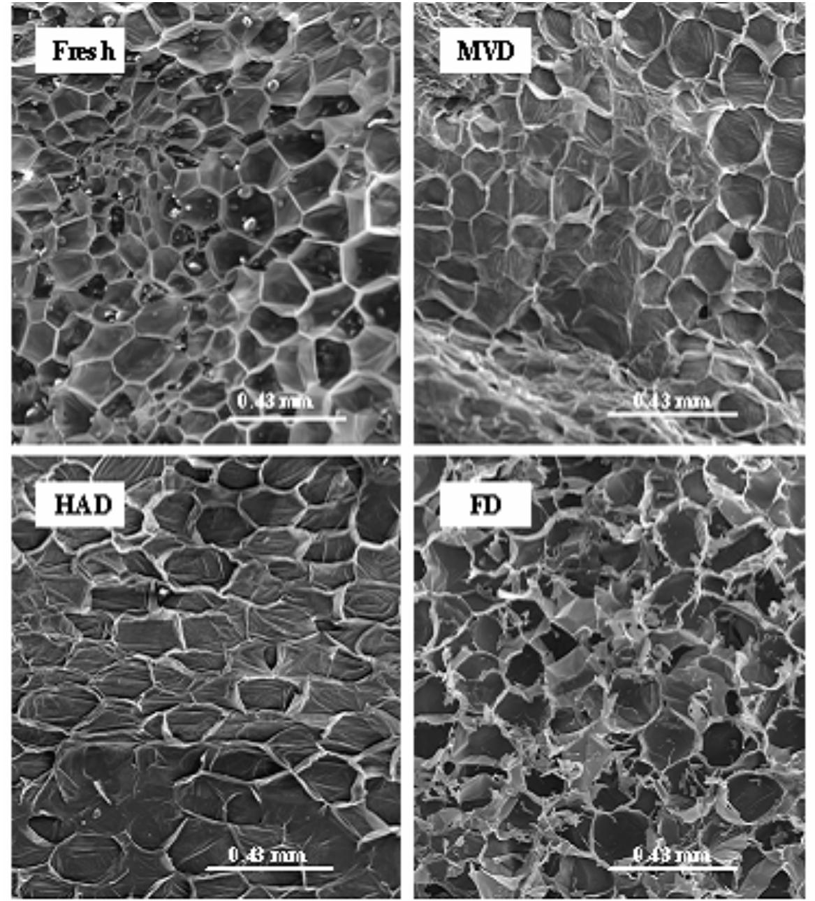 Figure 5 - Porosity, Color, Texture, and Microscopic