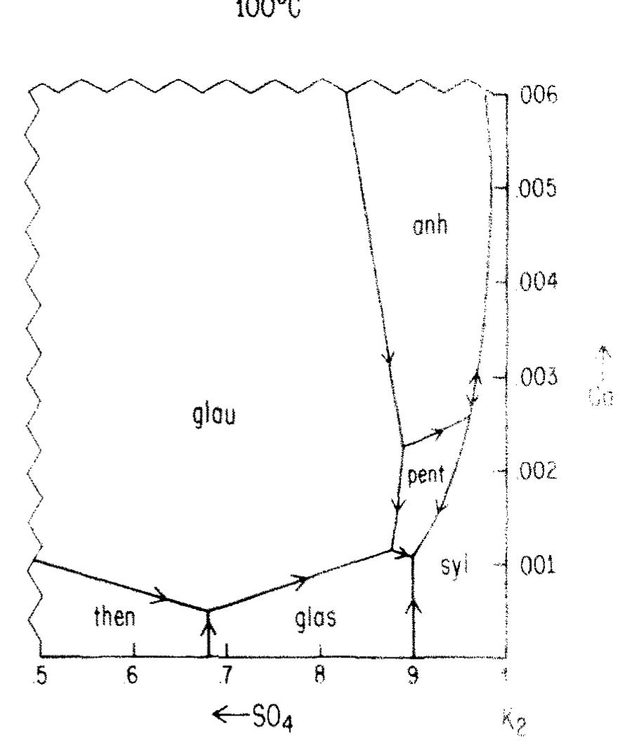 Janecke projection of the predicted mineral solubilities in