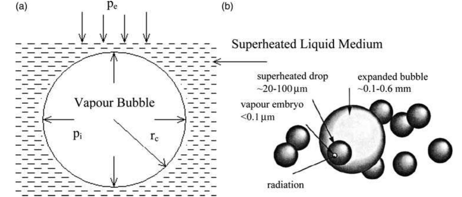 Schematic diagram showing (a) the pressures associated with