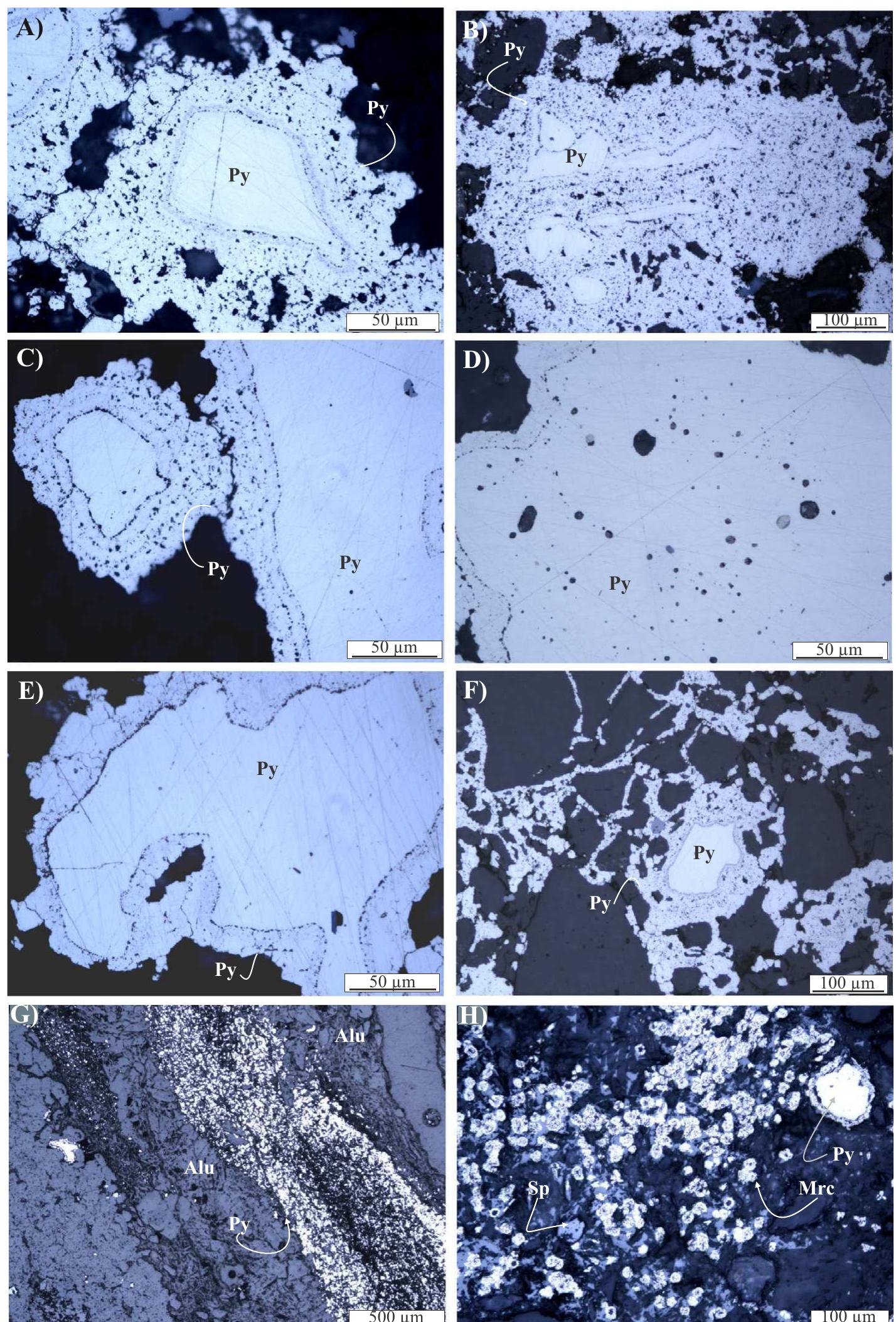 Reflected light microphotographs illustrating the textures