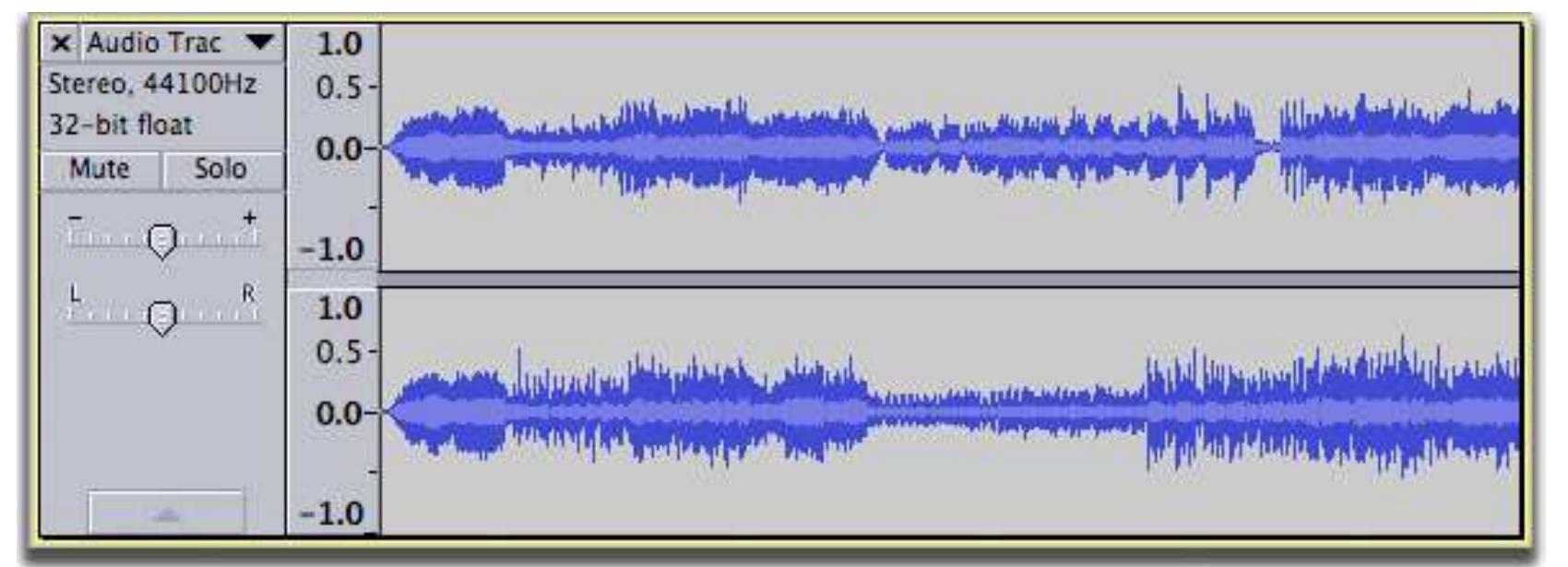 D: the audio waveform is a form of musical literacy that