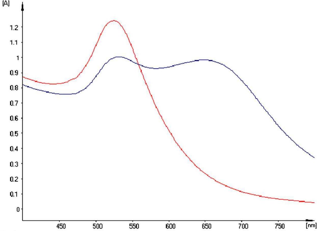 Absorption spectra of aunps in the absence of melamine (red