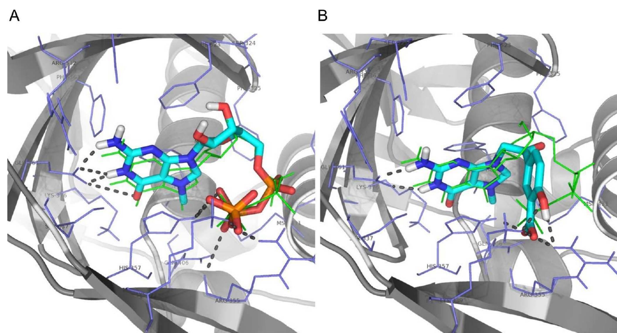 Examples of compound docking. a: comparison between the