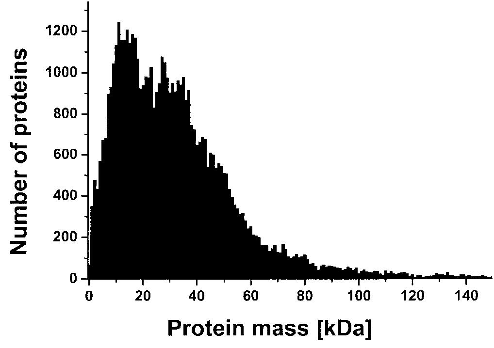 Protein mass distribution (in | kda bins) of all prokaryotic