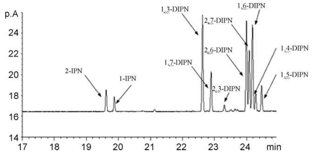 Typical chromatogram displaying the two ipn isomers and the