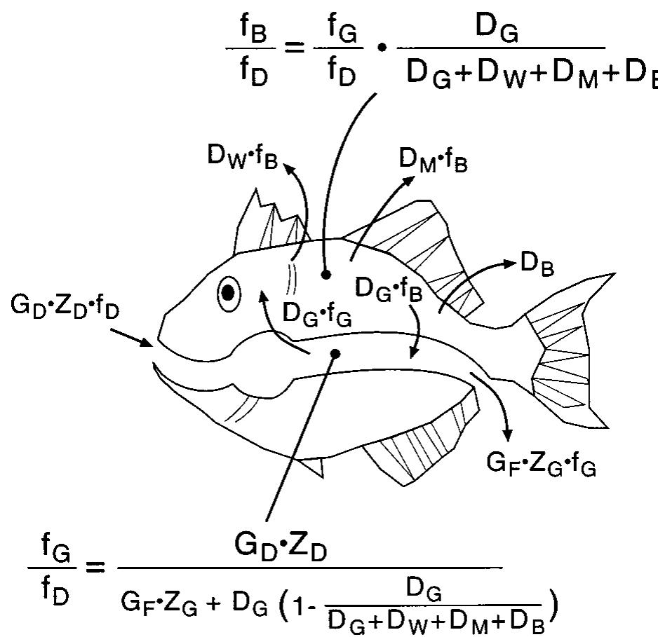 A conceptual diagram of a fugacity based model describing