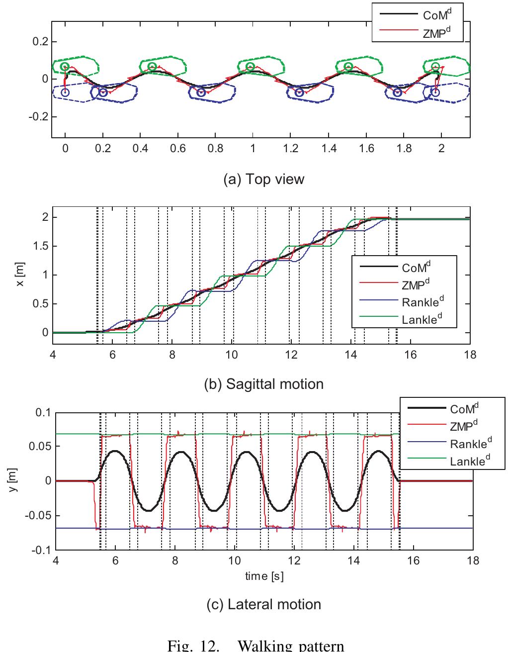 Series in sagittal and lateral direction, respectively. the