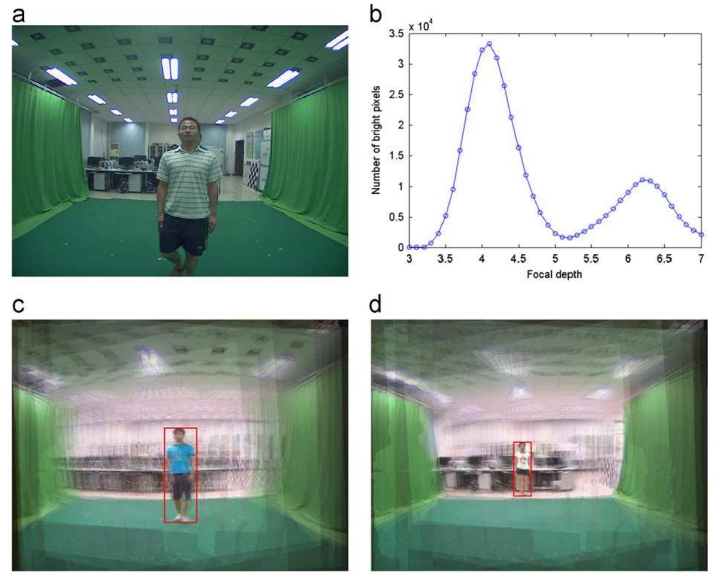 Line layout detection. (a) the original image in one frame,