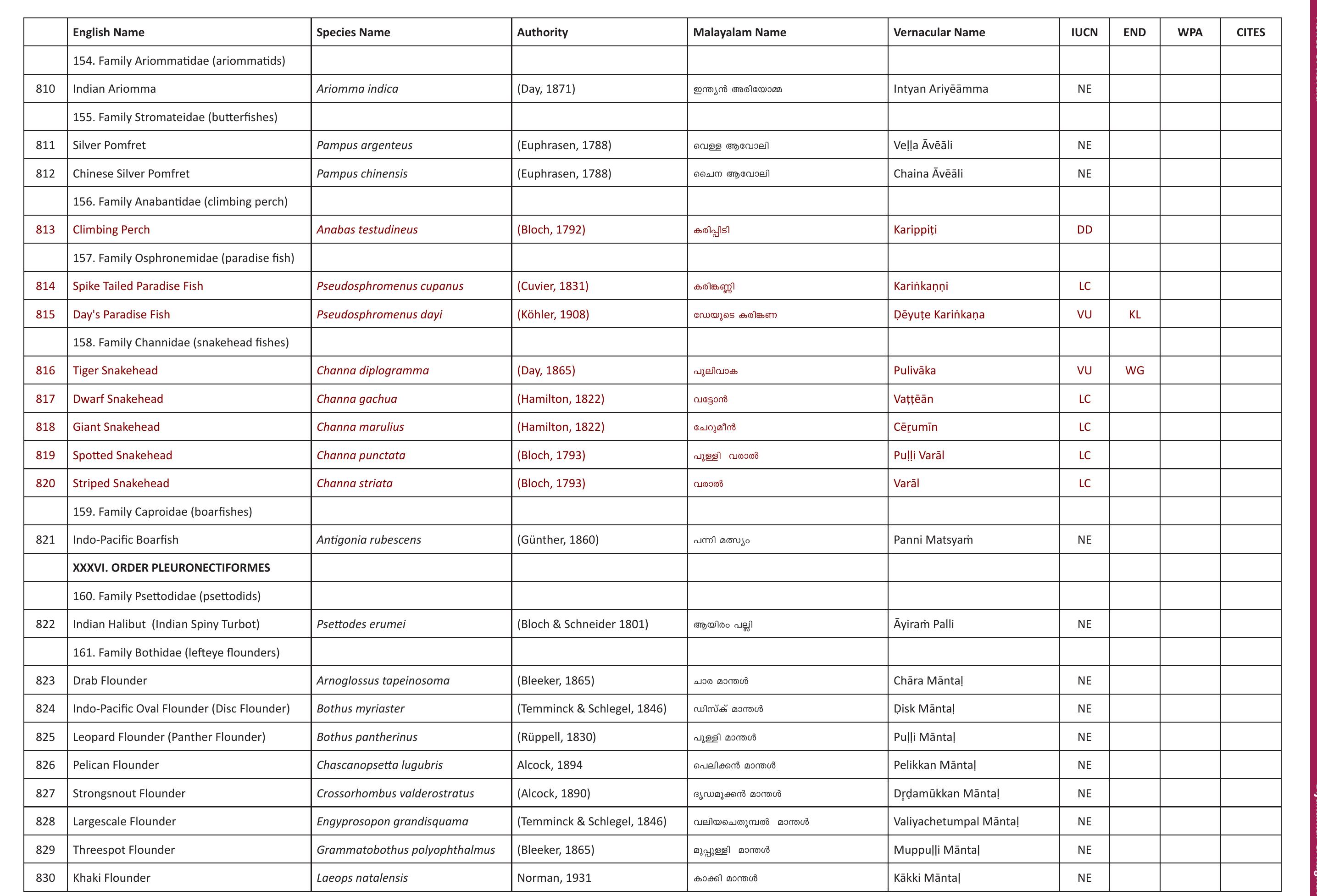Table 35 - A checklist of fishes of Kerala, India