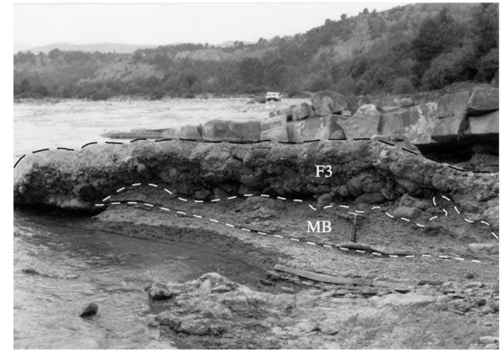 The bed shown in this photograph consists of a basal