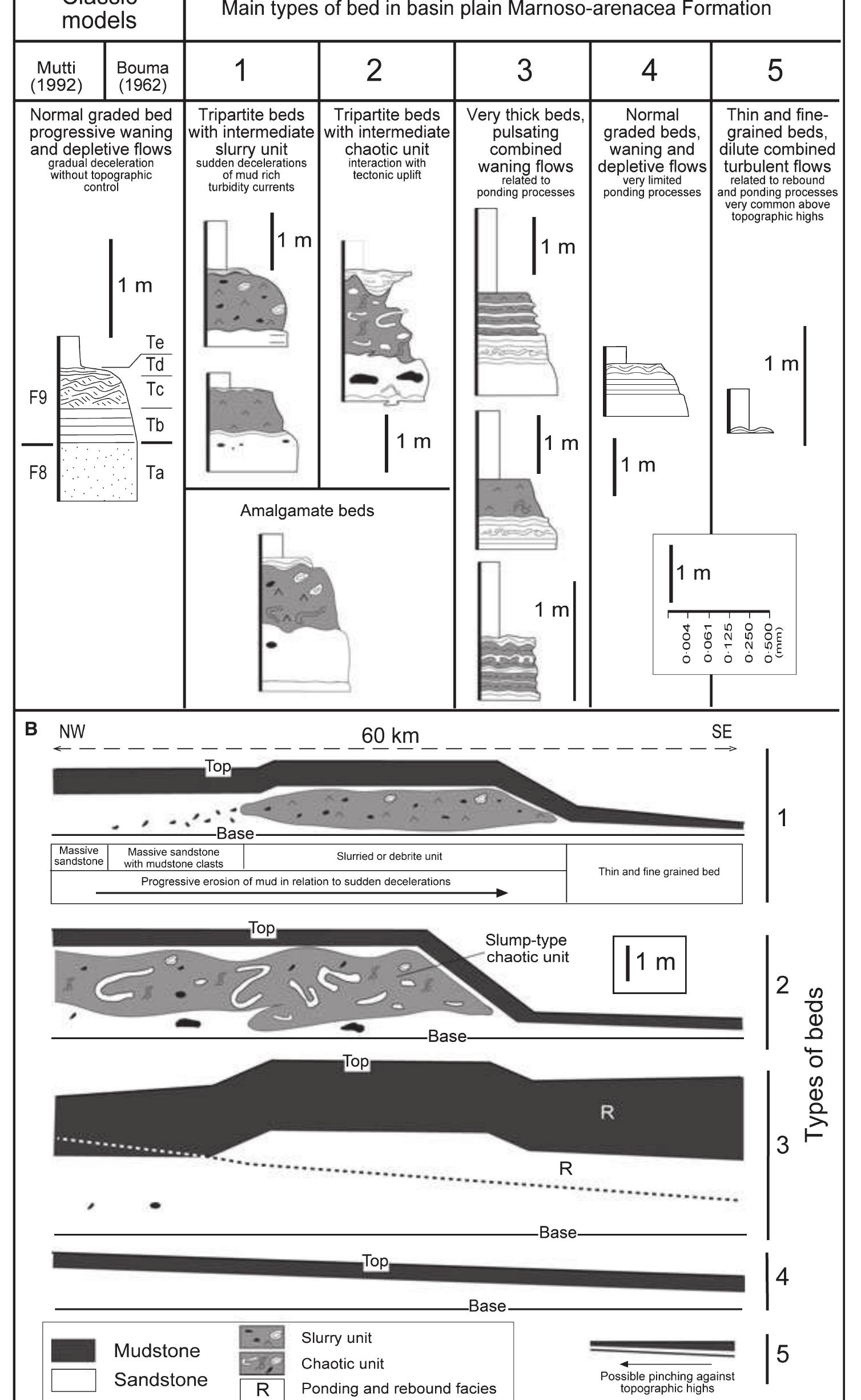 Diagram summarising the different types of beds identified