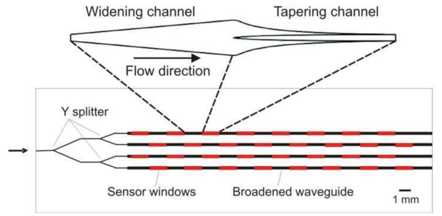 3: schematic of the waveguide chip adapted from [21] and of