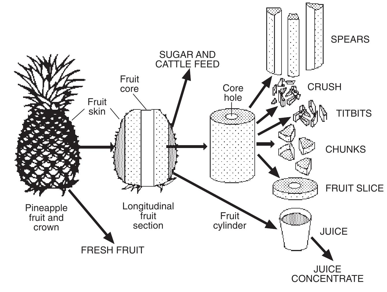 History, distribution and world production. In: The pineapple: botany ...