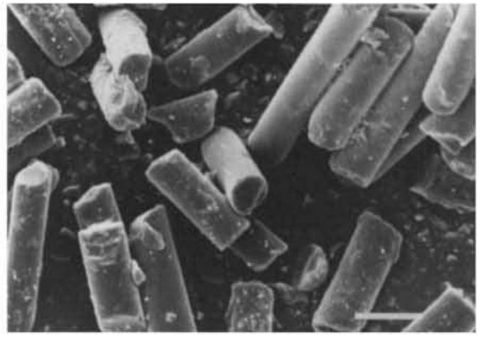 Adaptic 1s a traditional composite. these composites are