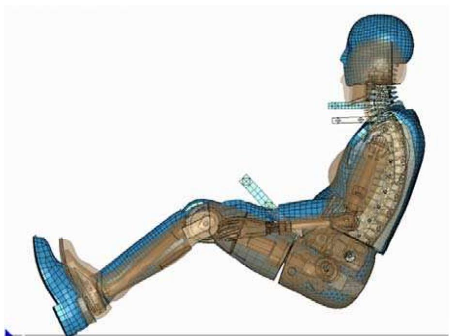 A3. comparison of the evarid and the biorid ii models. 1)