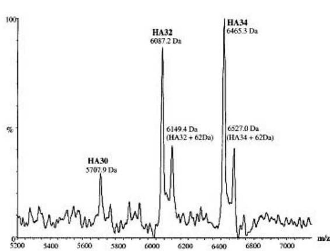 (21). negative mode maldi-tof spectrum of ha fraction