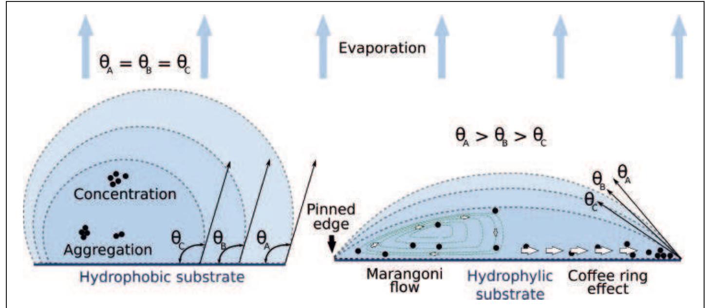 Wetting, colloidal stability and microfluidal forces
