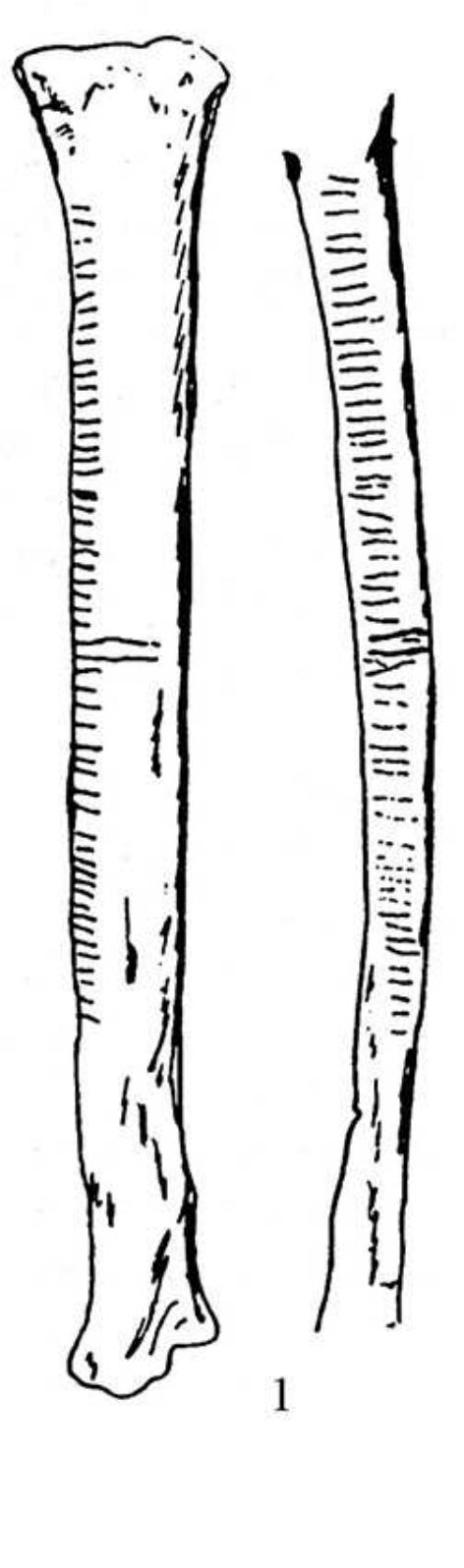 (PDF) Tally Sticks of the Stone Age