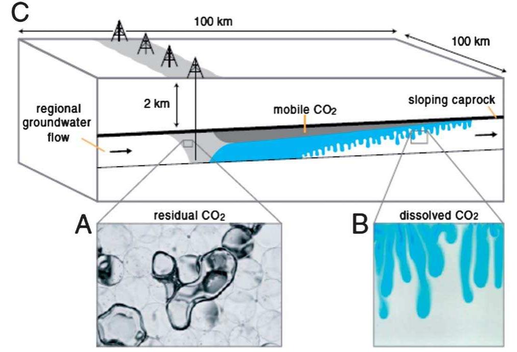 A schematic of coz2 storage and trapping mechanisms.*®° here