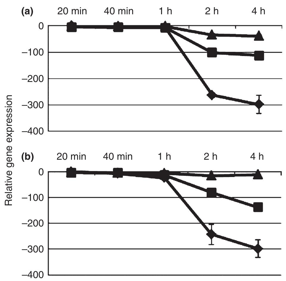 Relative gene expression of the ncr marker genes (a) gap?