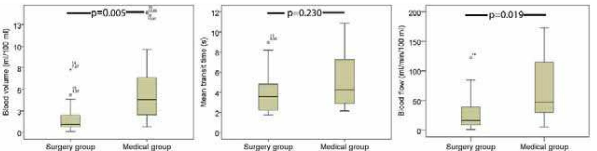 Boxplots comparing the blood volume, mean transit time and