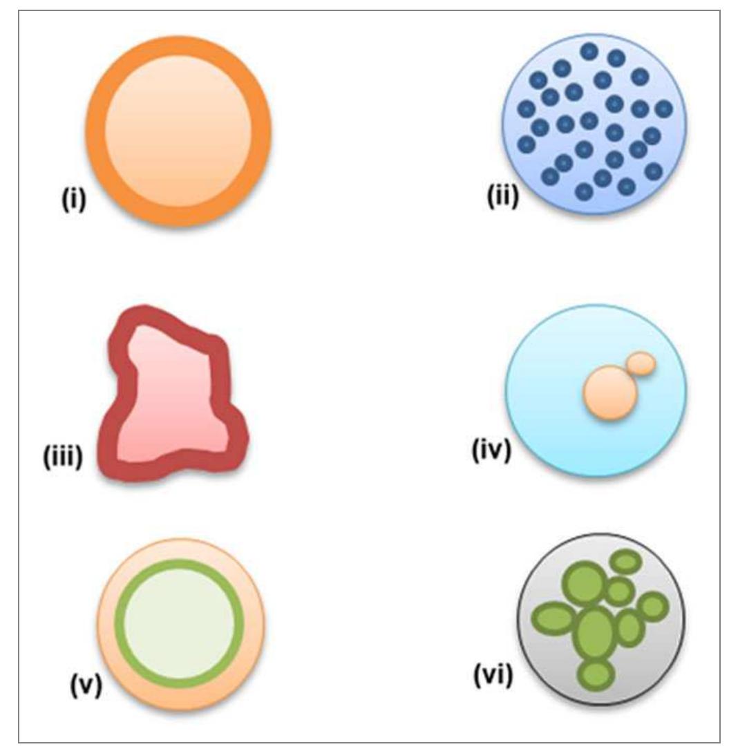 —different types of microcapsules: (i) simple microcapsule,