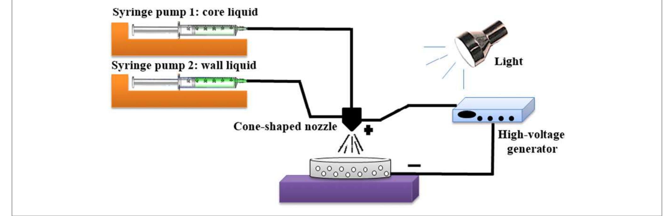 -schematic representation of the microencapsulation process