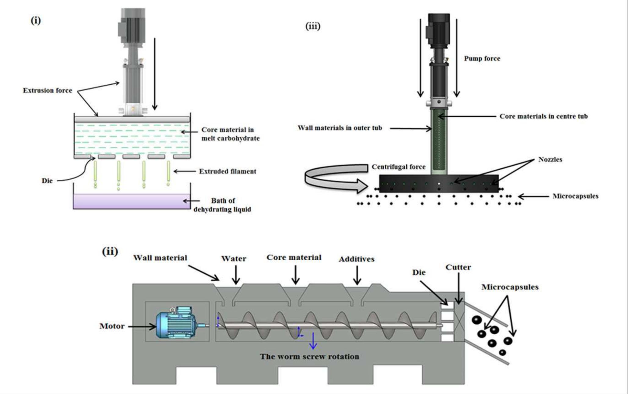 —schematic diagram of microencapsulation by (i) melt