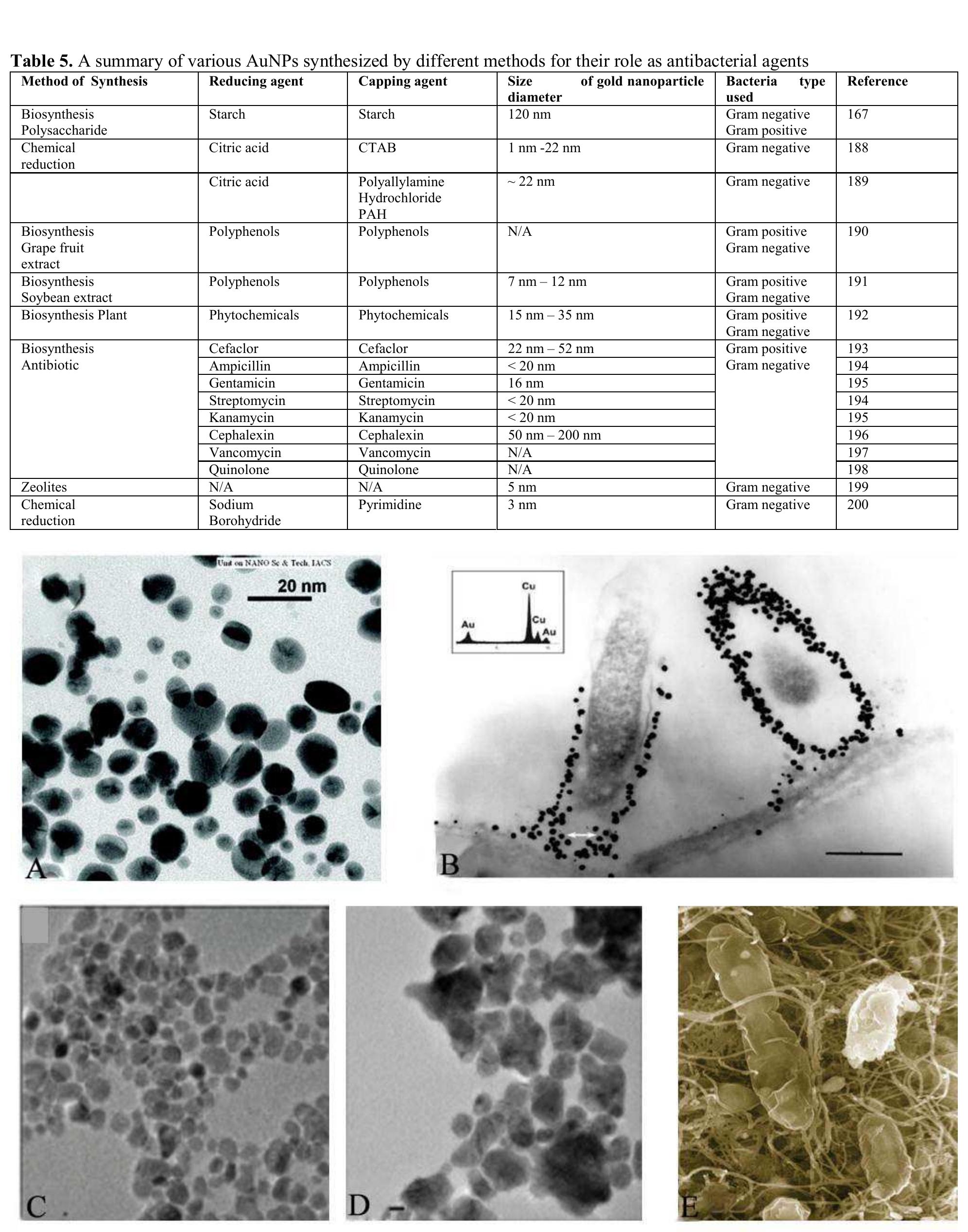 Tem images of gold nanoparticles synthesized using