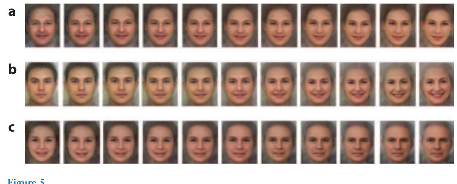 Models of social attributions from faces created from