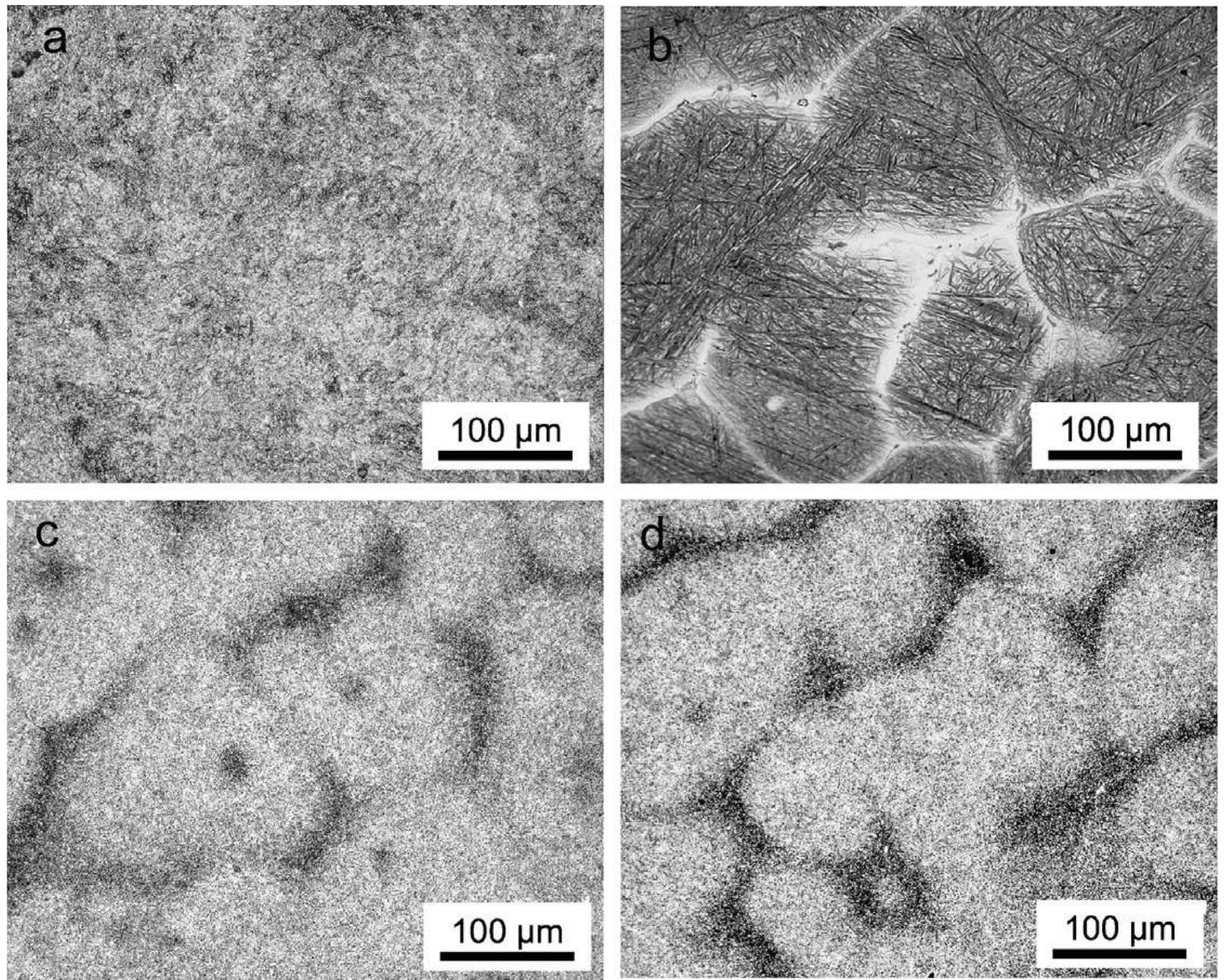 Optical microscopy images of the microstructures of 100cr6