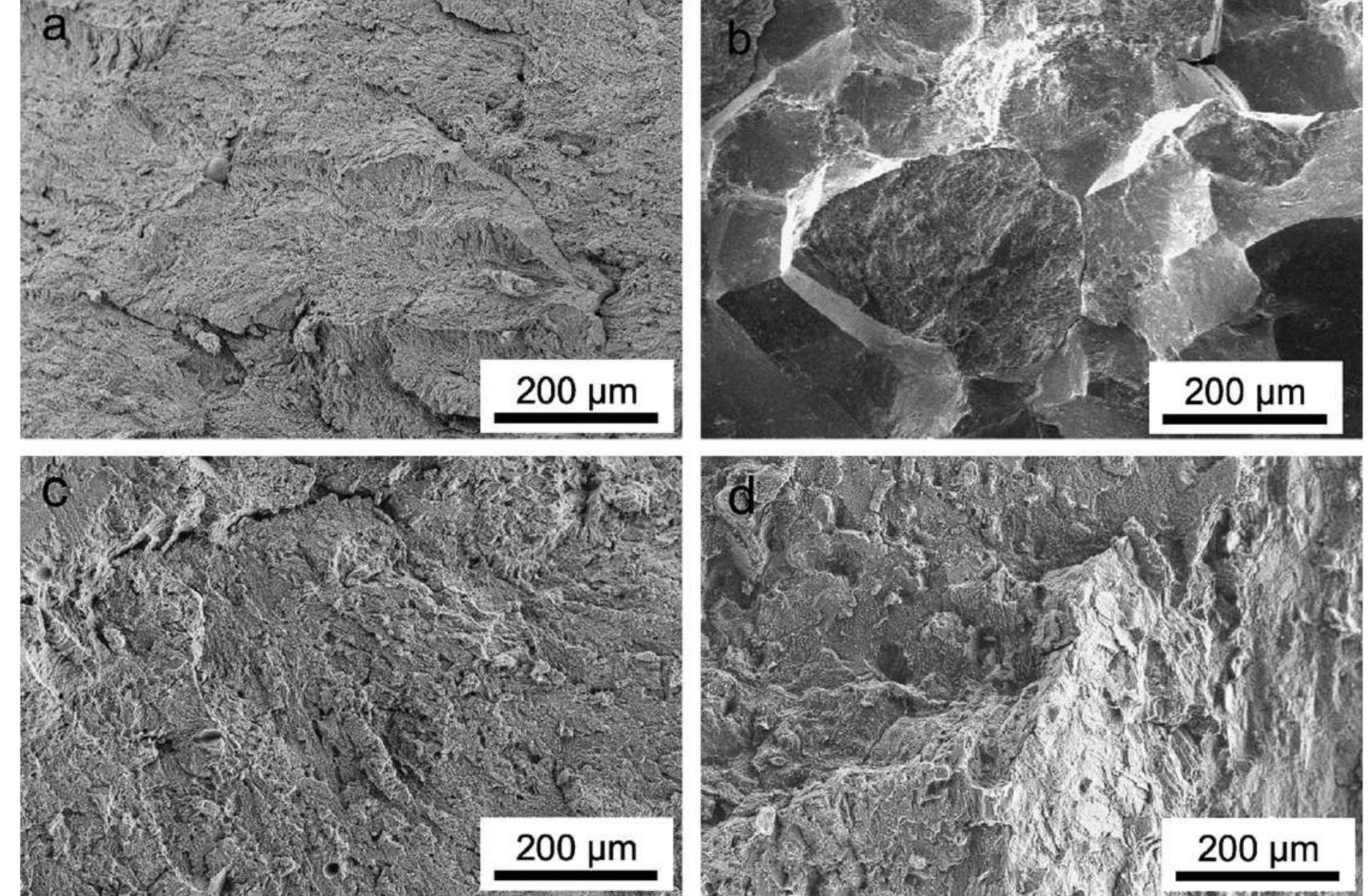 Sem images of the fracture surface of the conventionally and