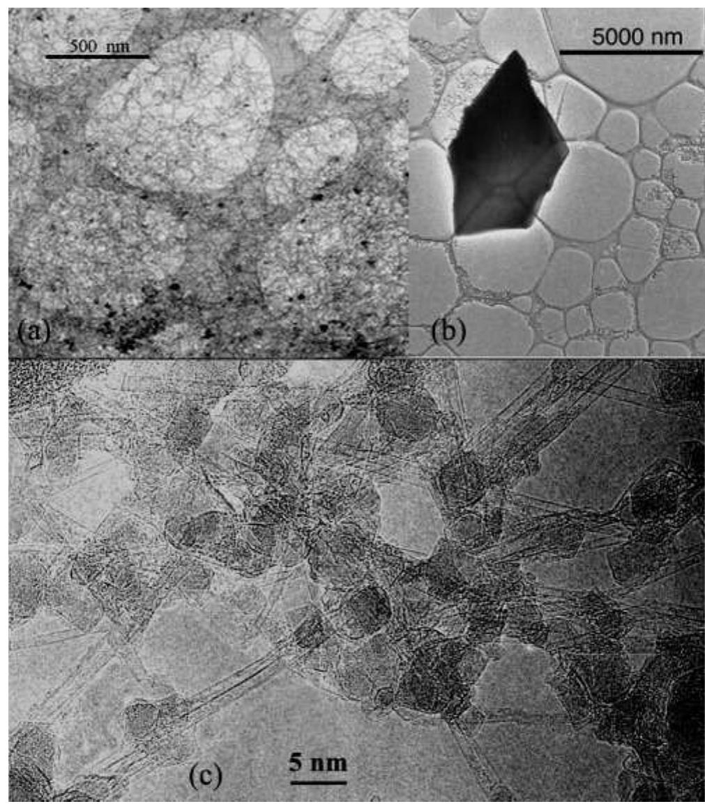 Tem images of the bn-nts sample showing (a) a dense nts