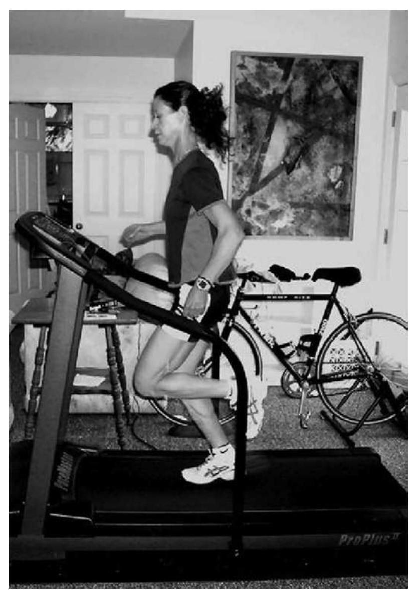 (PDF) The Anatomy and Biomechanics of Running