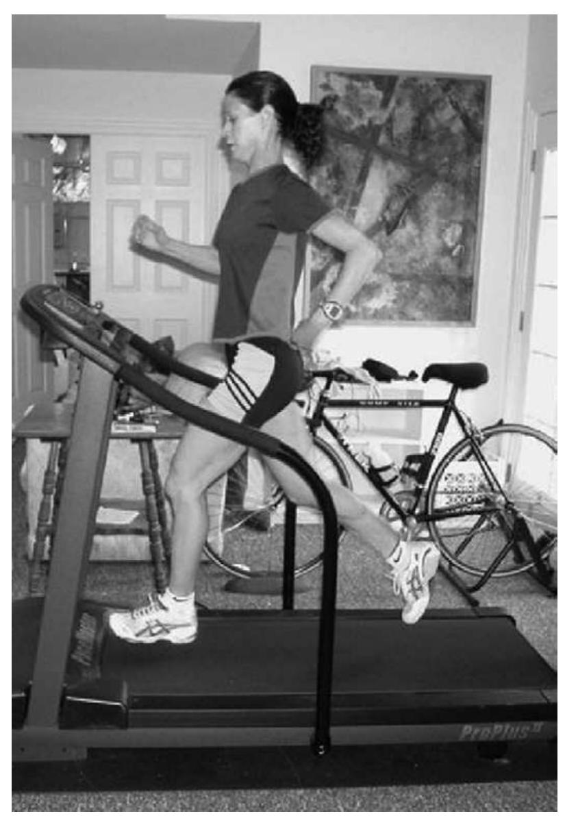 (PDF) The Anatomy and Biomechanics of Running