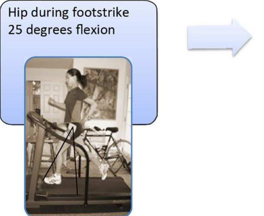 Figure 7 - from The Anatomy and Biomechanics of Running