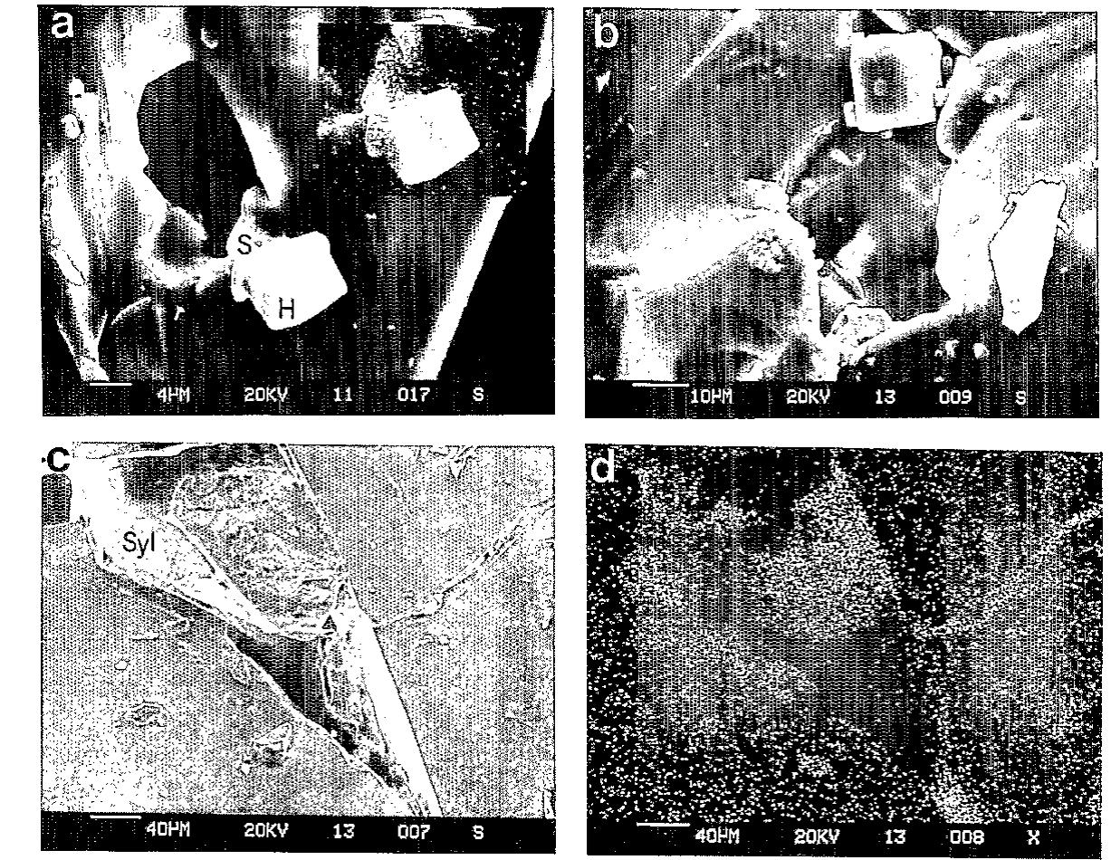 (PDF) Chemical composition of fluid inclusions in Colombian emerald ...