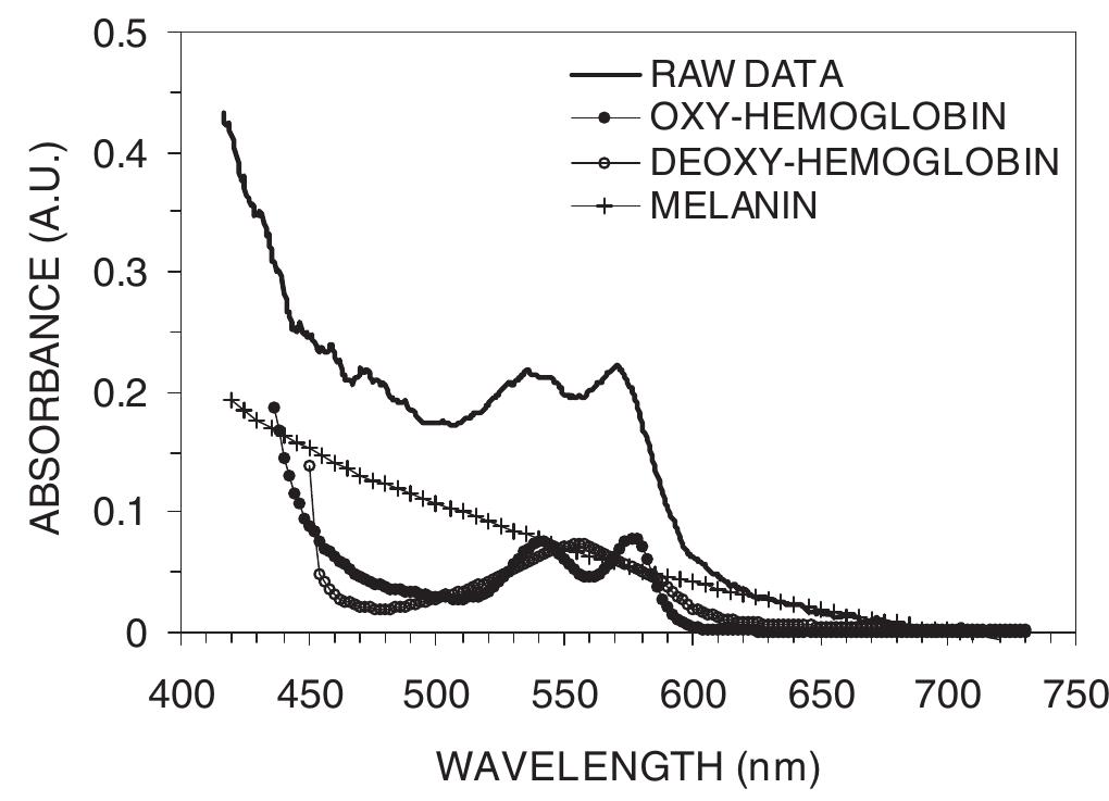 Typical drs spectrum of an erythematous lesion. spectral