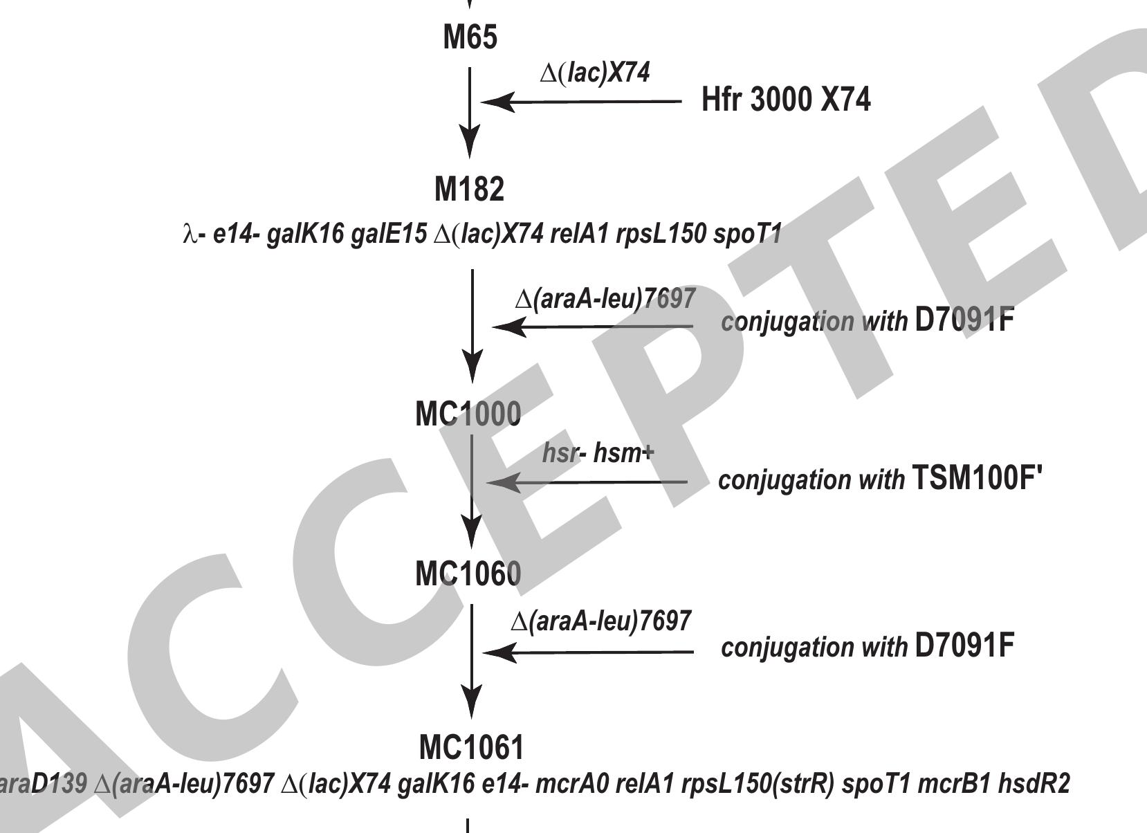 Figure 1 The Complete Genome Sequence Of Escherichia Coli