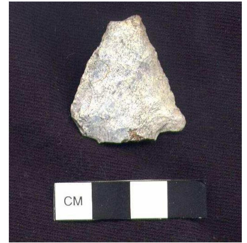 Flake forms identified include 10 complete flakes, one