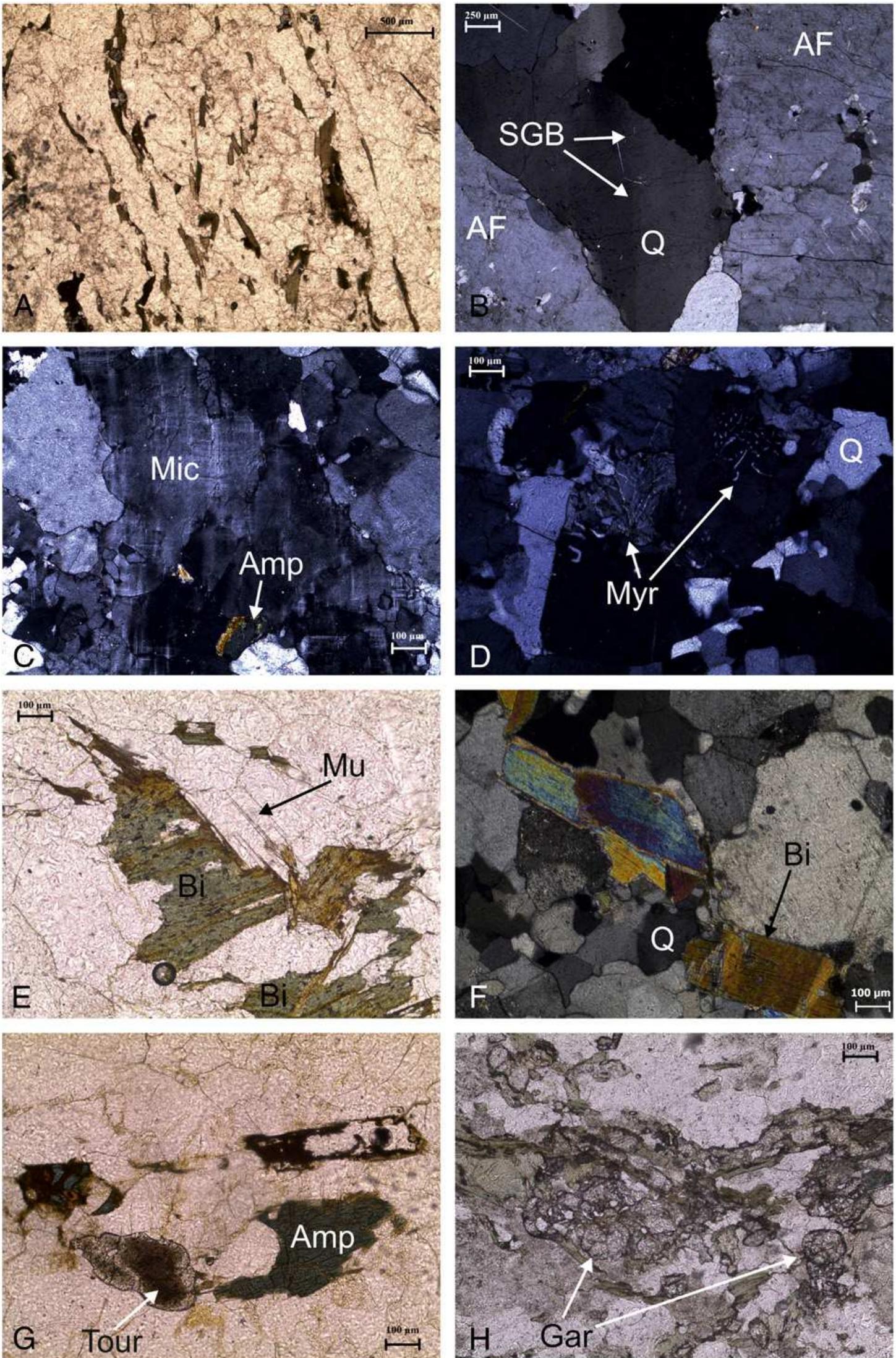 Photomicrographs of the dogruyol pluton: a) biotite, the