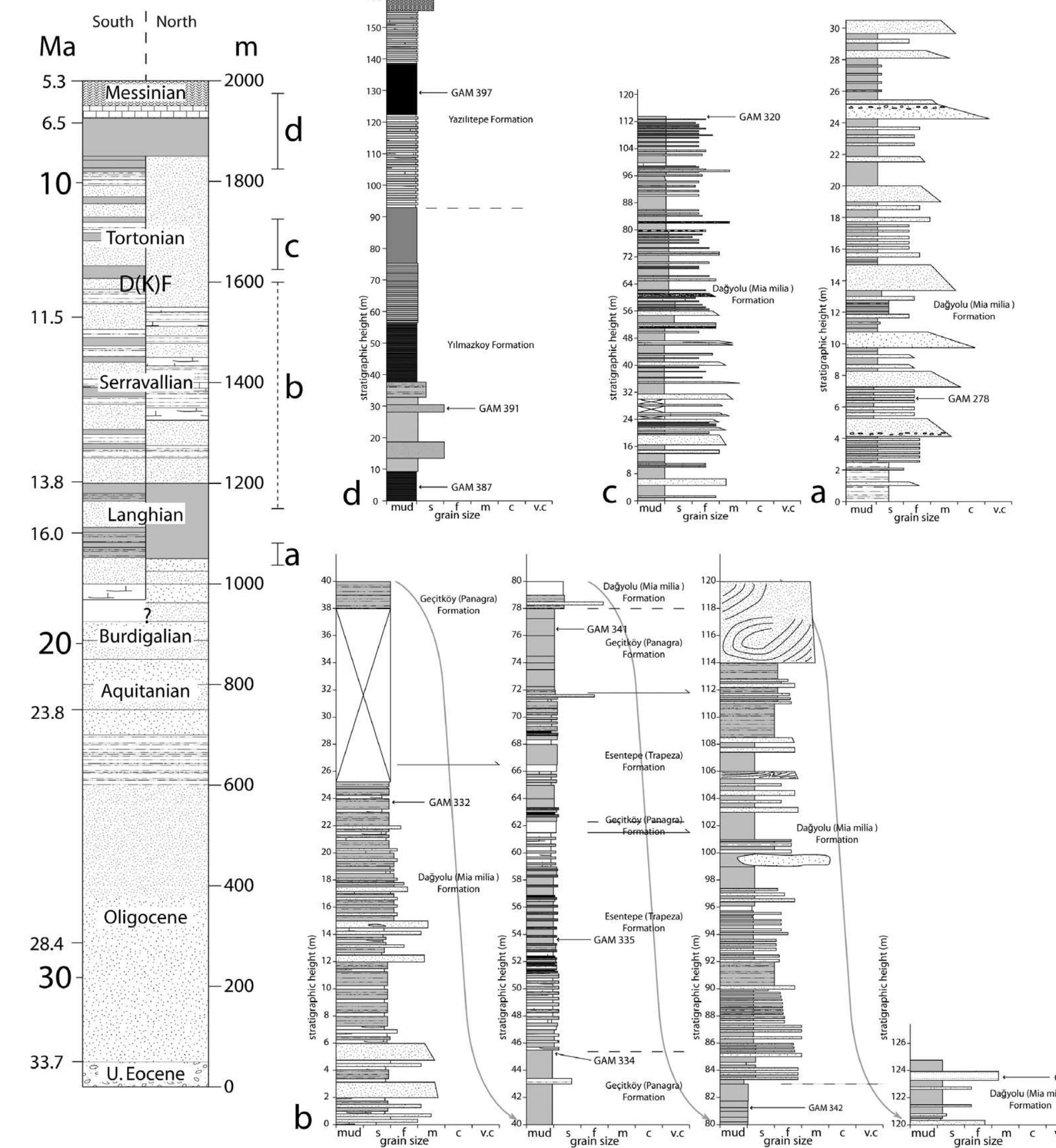 Composite sedimentary log of the upper eocene — upper