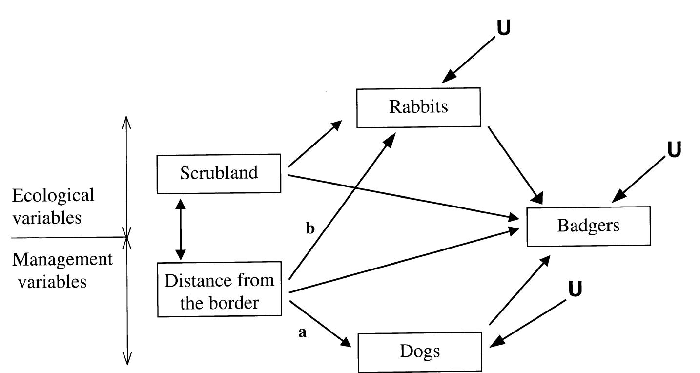 Path diagrams of the four alternative models proposed for